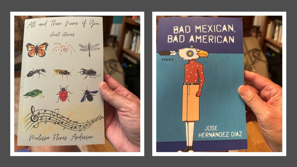 Celebrate Hispanic heritage: read Hispanic/Latinx writers – Andy writes!